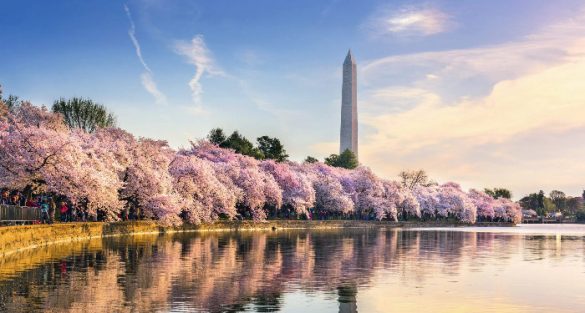 Leading Family, Matrimonial & Divorce Law Firms - Washington DC, 2025 ...