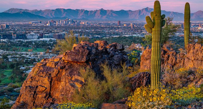 Phoenix 1 - Doyle's Guide